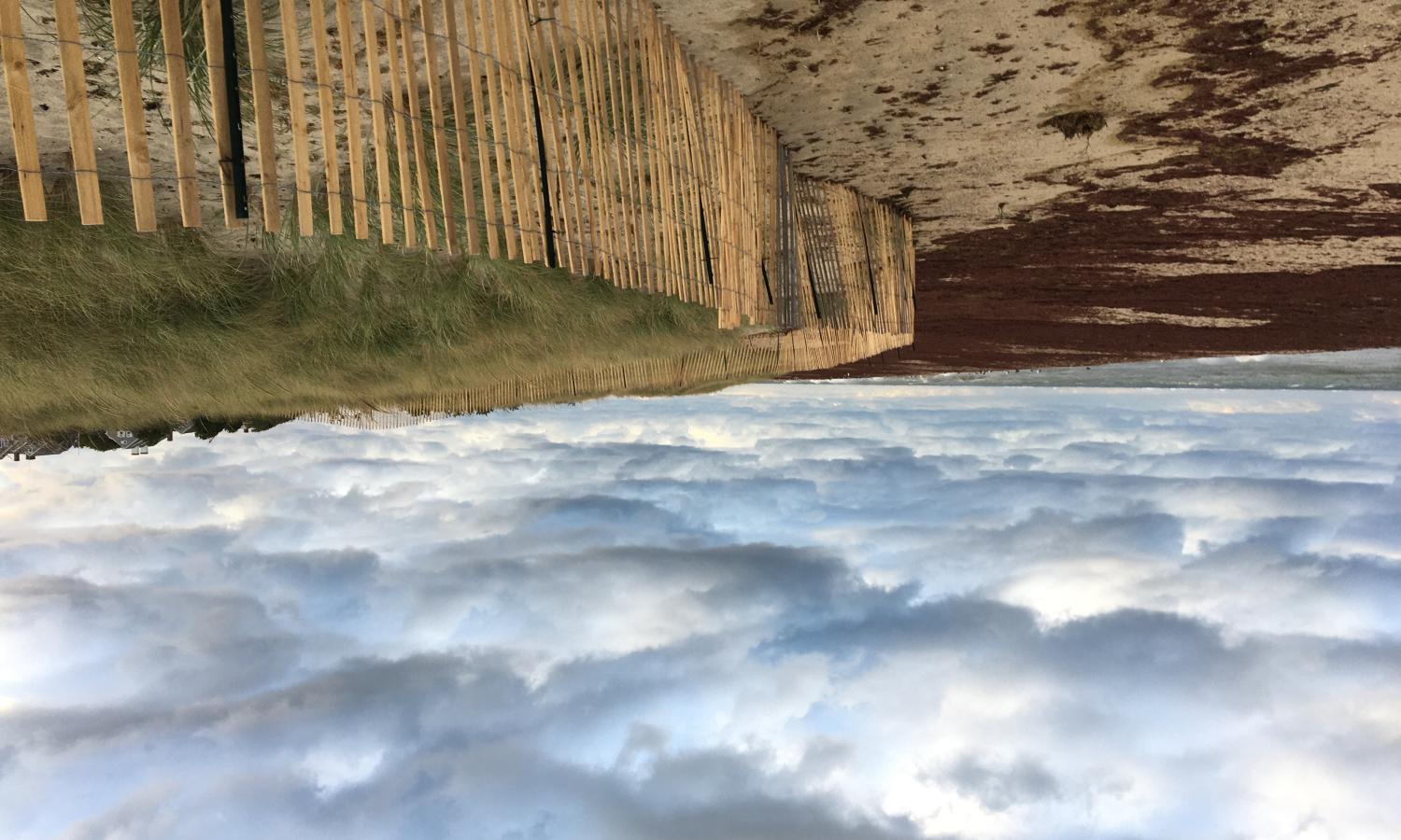 Offshore Artists Residency (OAR) | Artist Communities Alliance